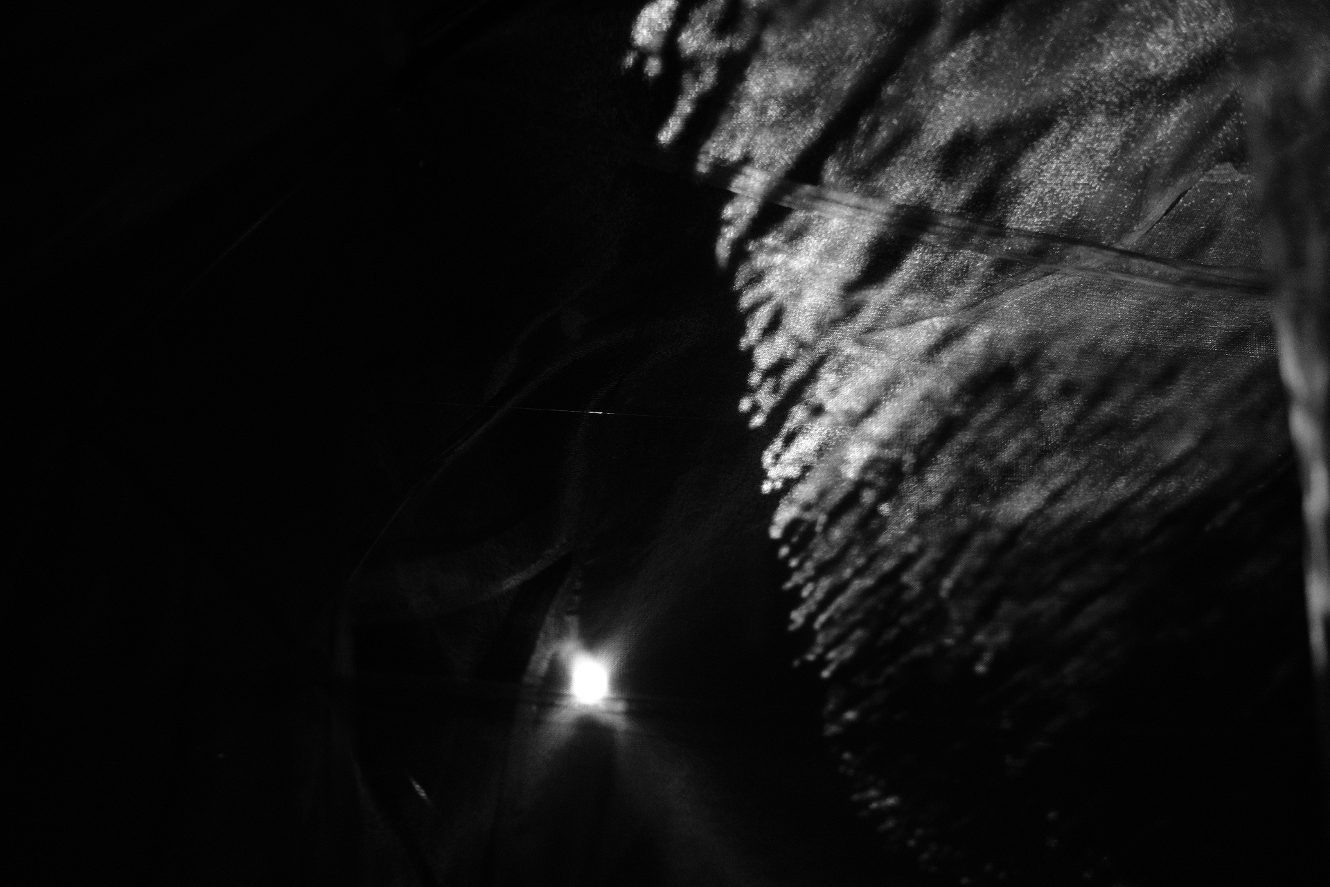 The Crows - Immersive Spatial Installation | Showroom | base Angewandte